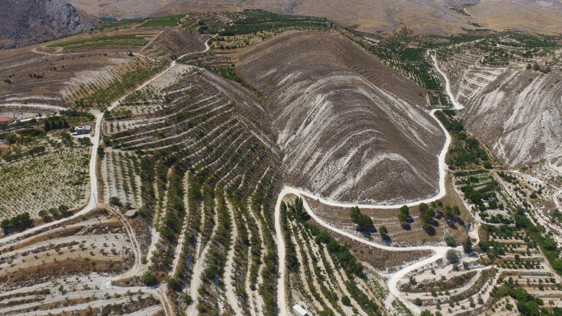Bekaa Valley Vineyards - Ana BEIRUT